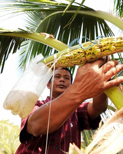 Air Nira齋戒月熱賣 - 大马文化 - 霹雳中文论坛